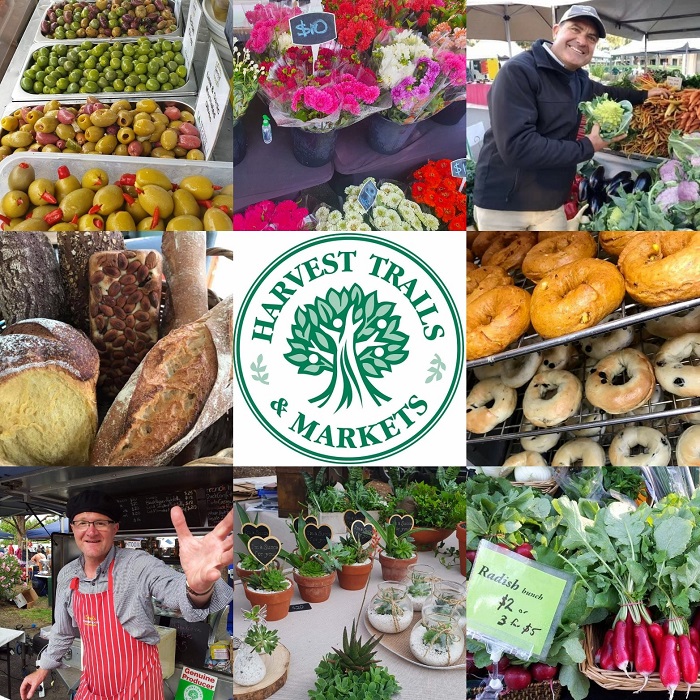 Castle Hill Farmers Market - Hills District Mums