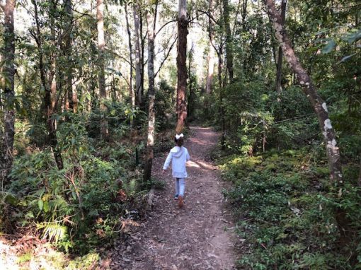 Kid Friendly Bushwalks in the Hills - Hills District Mums