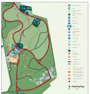 Cumberland State Forest | West Pennant Hills | Bushwalks for kids ...