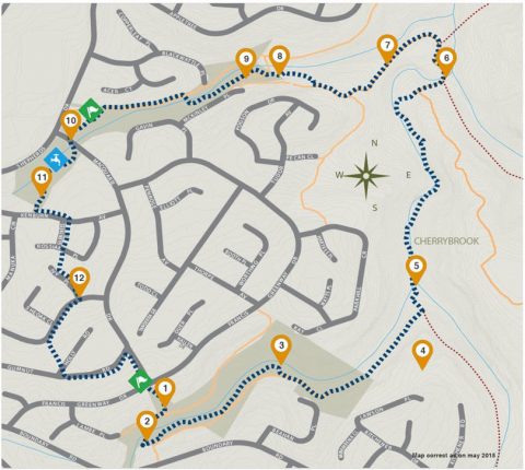 Callicoma Walk | Cherrybrook | Bush walks for kids - Hills District Mums