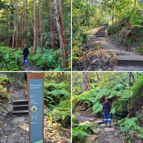 Swing Bridge Loop Walk Cherrybrook - Hills District Mums