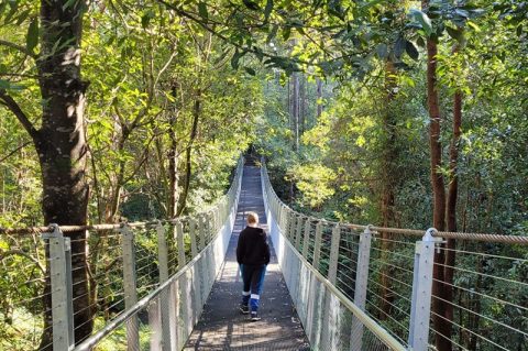 Swing Bridge Loop Walk Cherrybrook - Hills District Mums