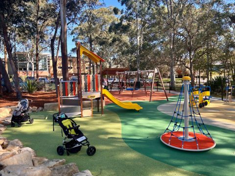 Wollundry Park Playground Pennant Hills - Hills District Mums